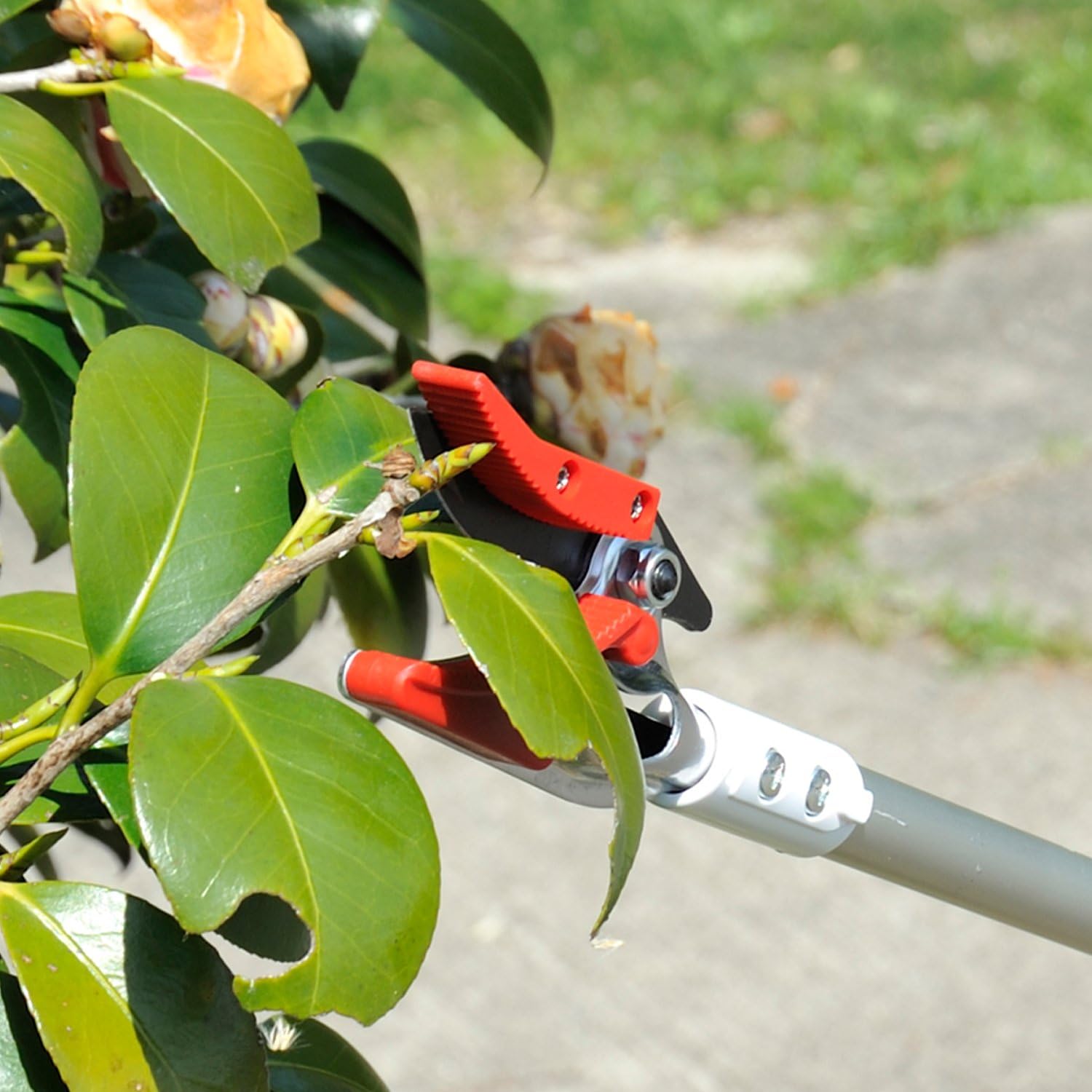 アルスコーポレーション 超軽量伸縮式高枝切りばさみ ライトチョキダブルズームコンパクト - monopra（モノプラ）