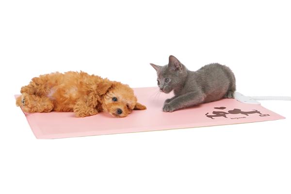 コジマ ほかほかマット DX Sサイズ ペット用 高・低両面ヒーター - monopra（モノプラ）